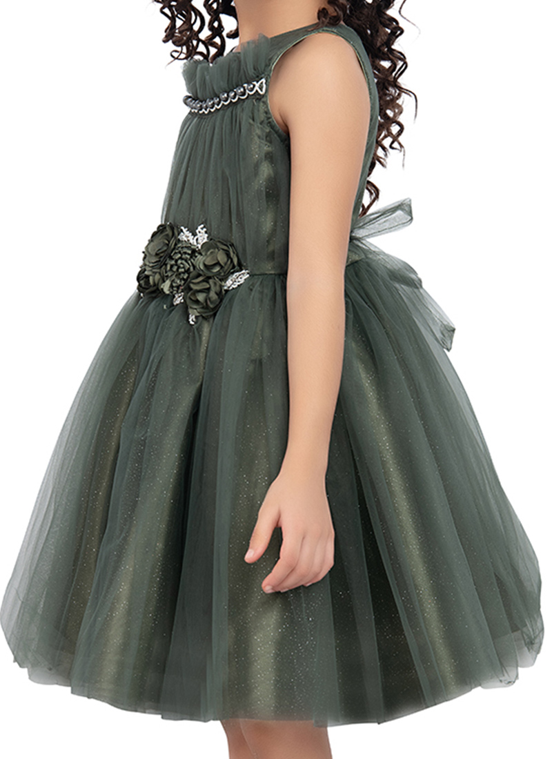 Buy Green Net Shimmer Dress Online at Best Price | Cbazaar