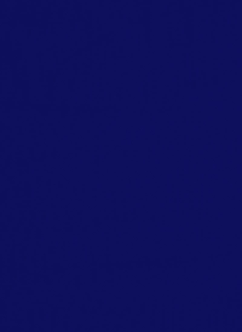 Buy Royal Blue Net Fabric Online at Best Price | Cbazaar