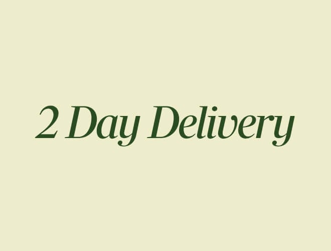 Fastest delivery of Indian clothes in USA - 2 Day delivery